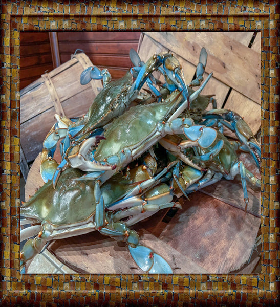 LIVE - Blue Crabs by the 1/2 Bushel – Crab Depot