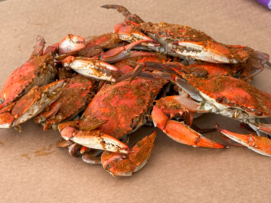 (SPECIAL) Chesapeake Bay Dozen, 5"-6" – Crab Depot