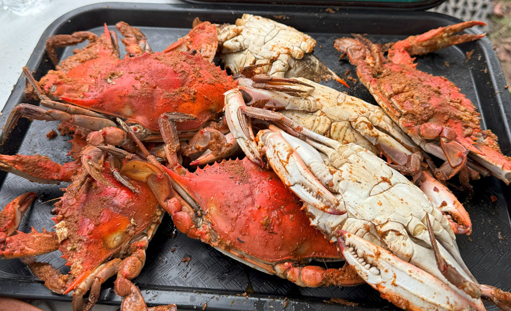 (SPECIAL) Maryland Jimmy Dozen, 5.5"-6.5" – Crab Depot